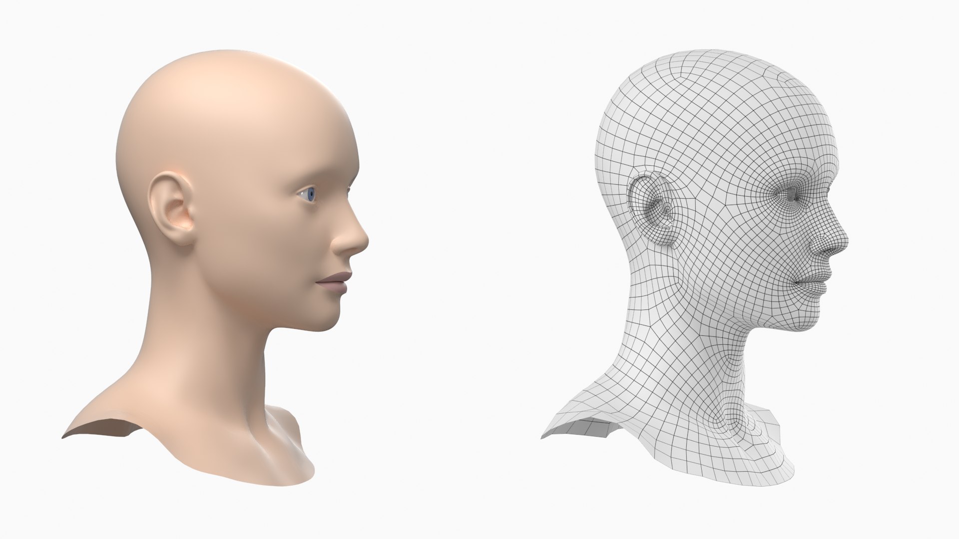 Natural Female Head 01 Base Mesh Model - TurboSquid 2168665