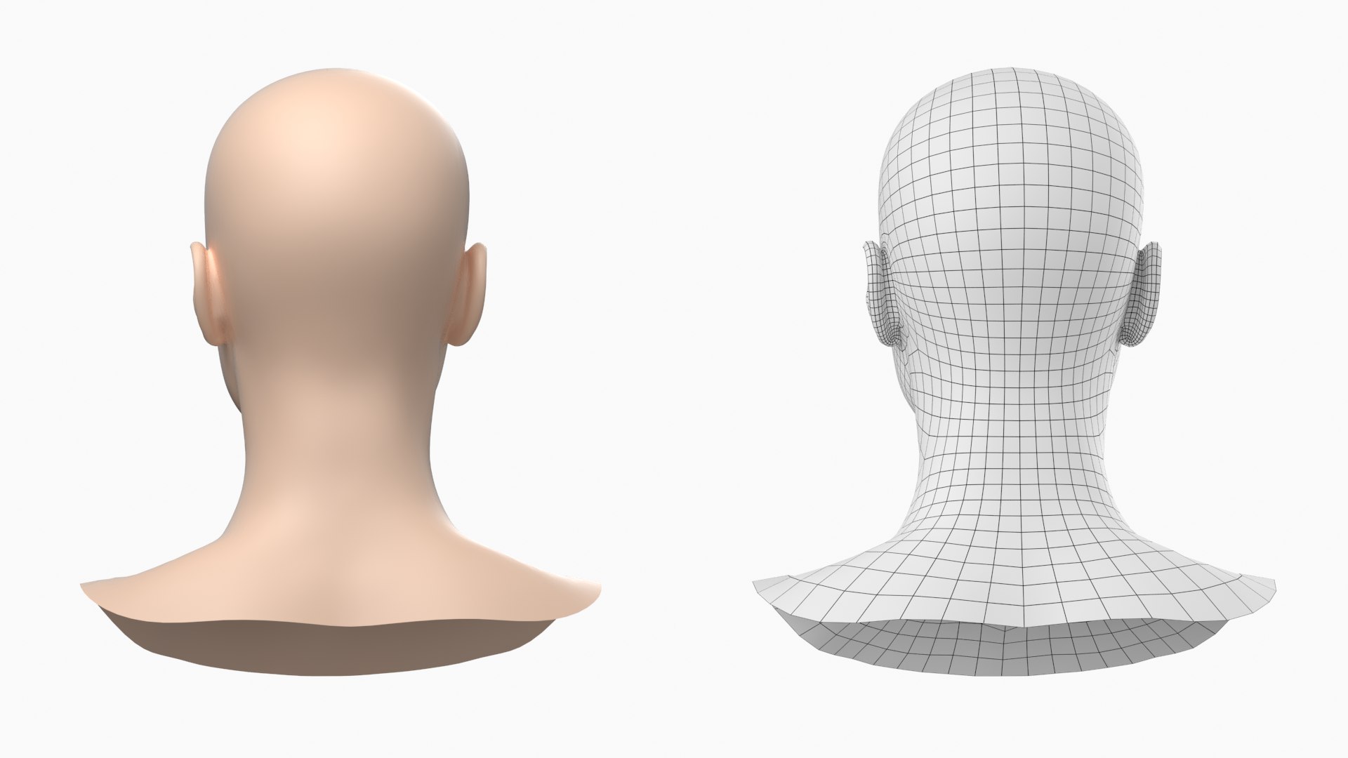 Natural Female Head 01 Base Mesh Model - TurboSquid 2168665