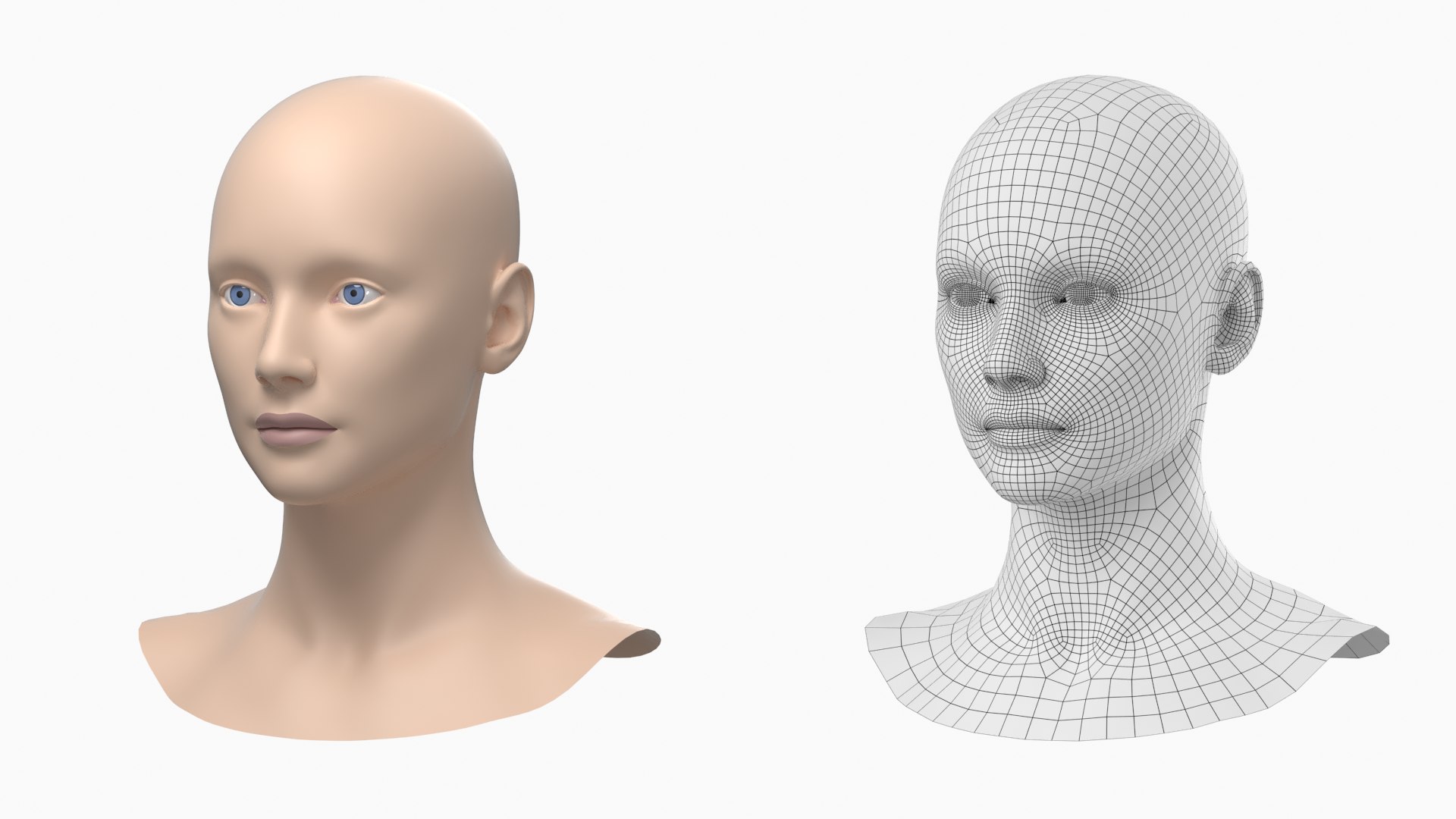 Natural Female Head 01 Base Mesh Model - TurboSquid 2168665