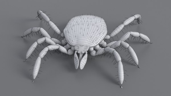 Realistic tick model - TurboSquid 1664548