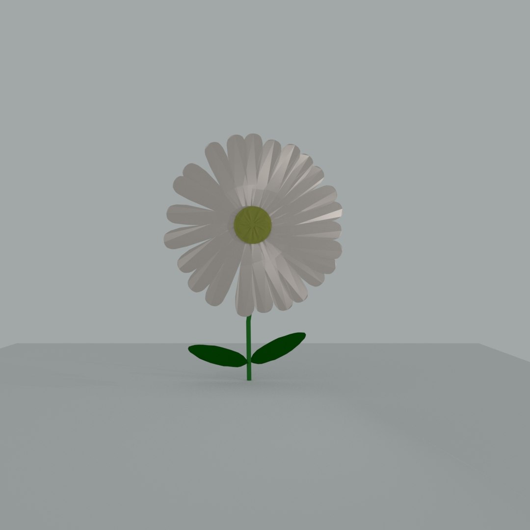 White Flower 3D - TurboSquid 1910426