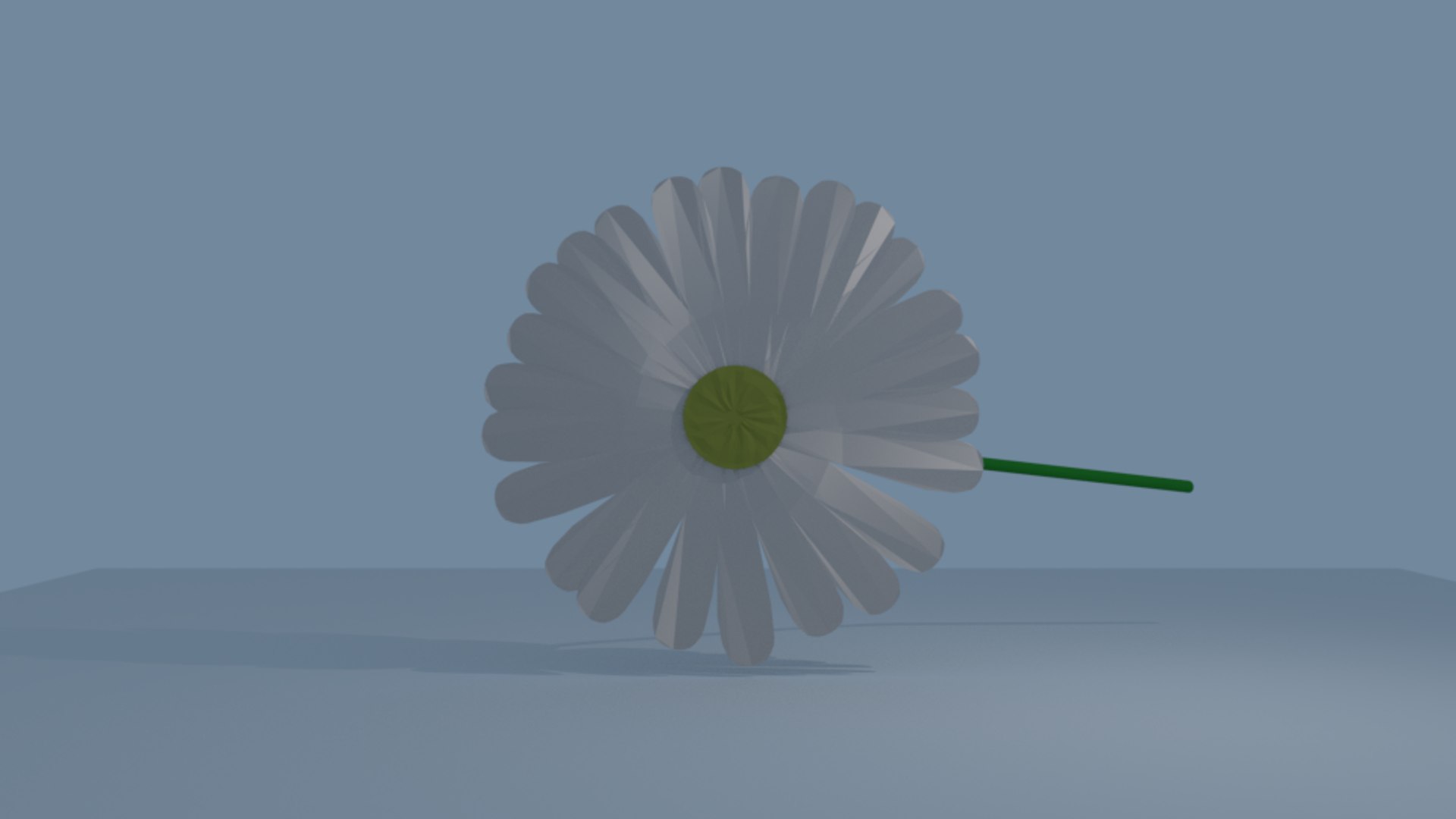 White Flower 3D - TurboSquid 1910426