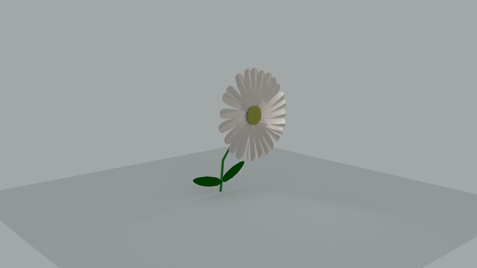 White Flower 3D - TurboSquid 1910426