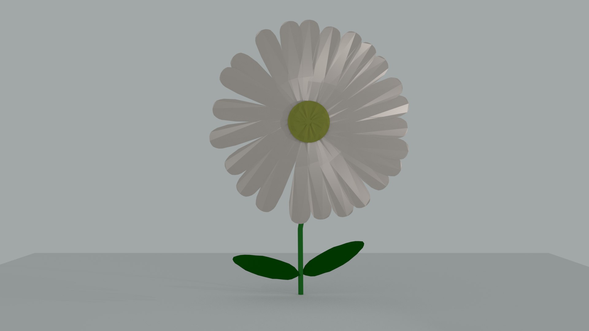 White Flower 3D - TurboSquid 1910426