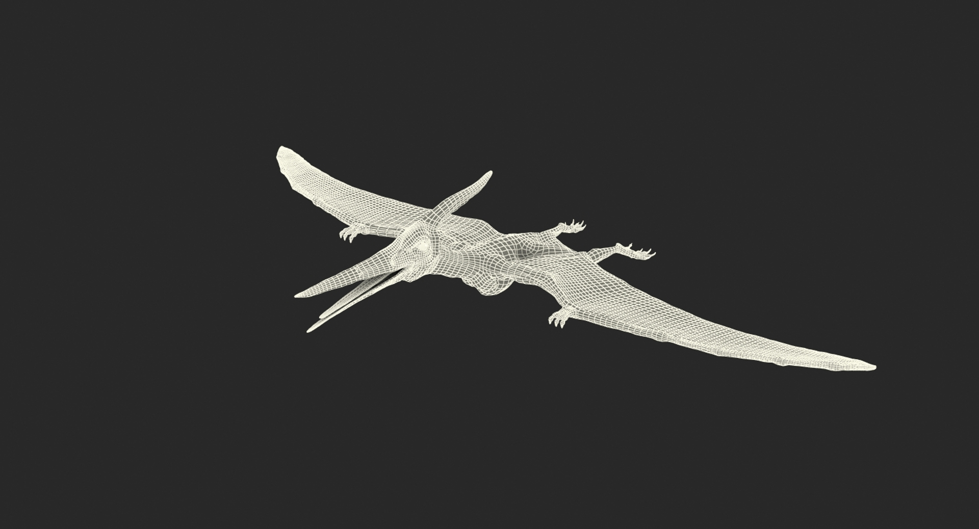 Pteranodon Rigged 3D Model - TurboSquid 1479499