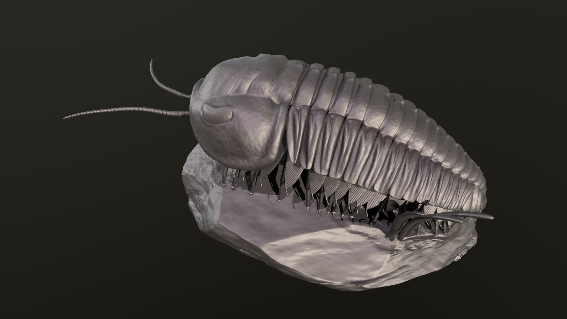 Triarthrus Eatoni Environment Version 3D Model - TurboSquid 1816133