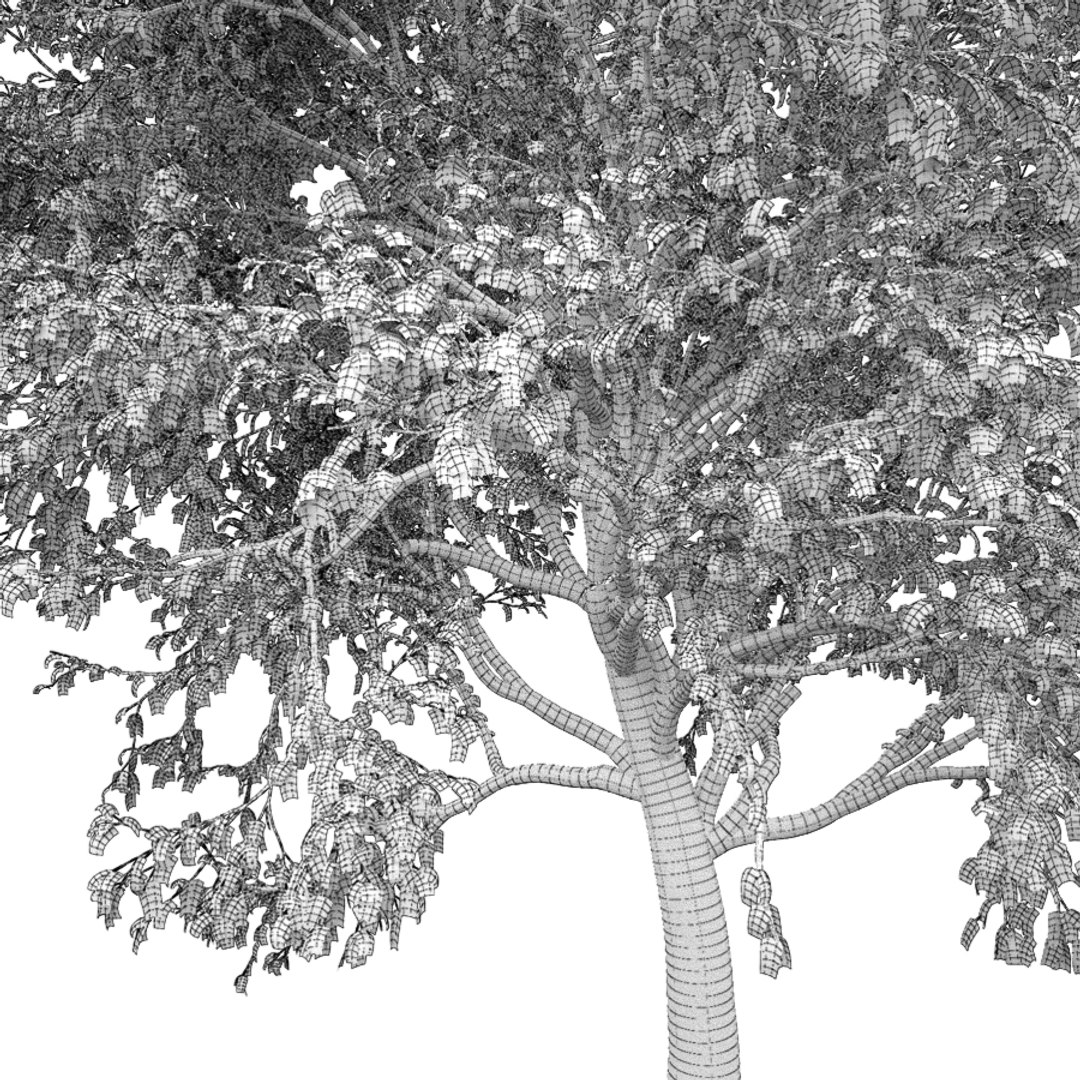 Oak Tree Animation 3D Model | 1148366 | TurboSquid