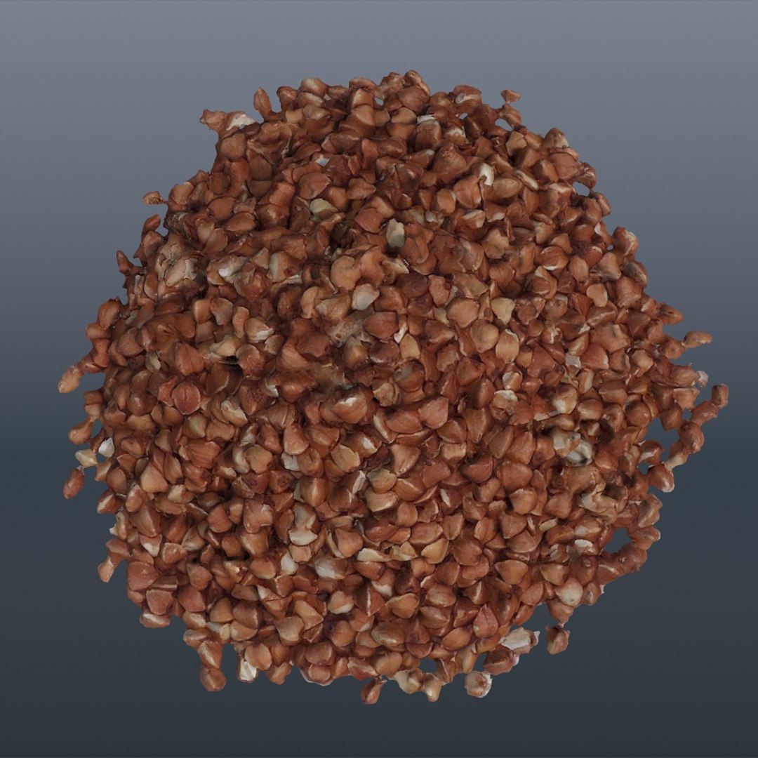 3d Buckwheat Model