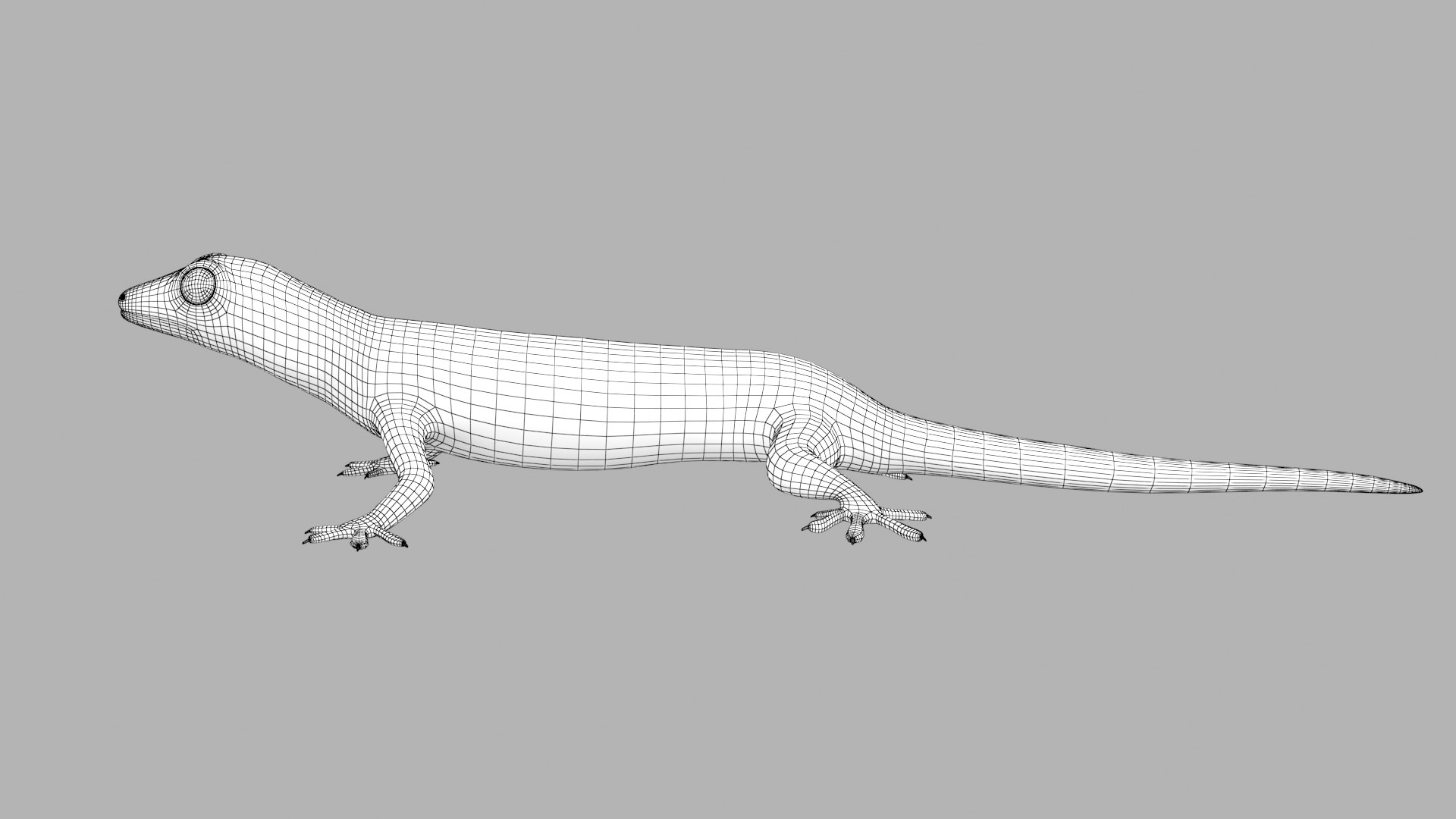 3D Mourning Gecko Model - TurboSquid 1471649