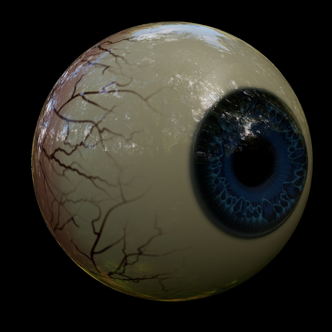 3D Model Eye - TurboSquid 2072020
