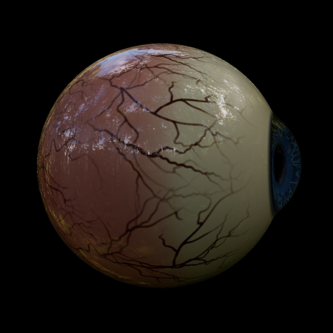 3D Model Eye - TurboSquid 2072020