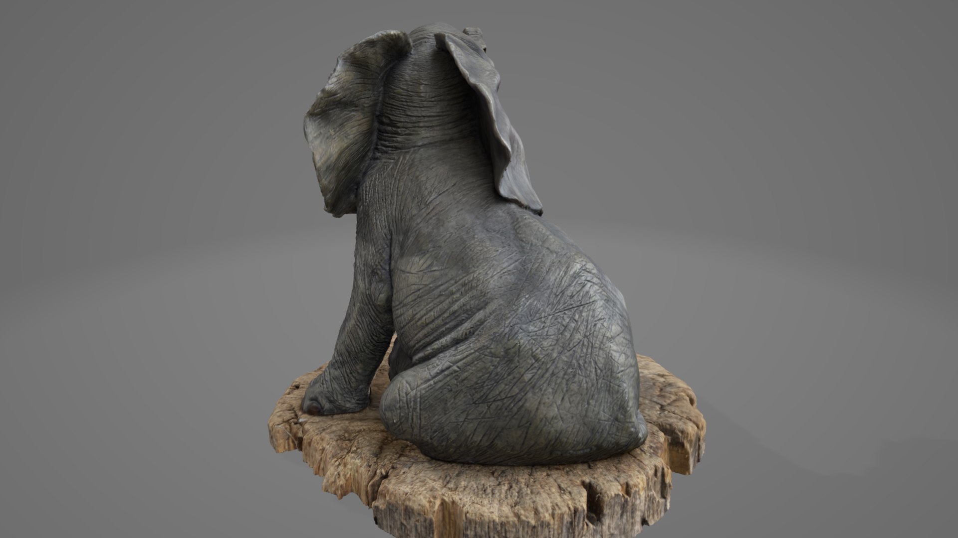 Elephant 3d Scan 3D - TurboSquid 1851657