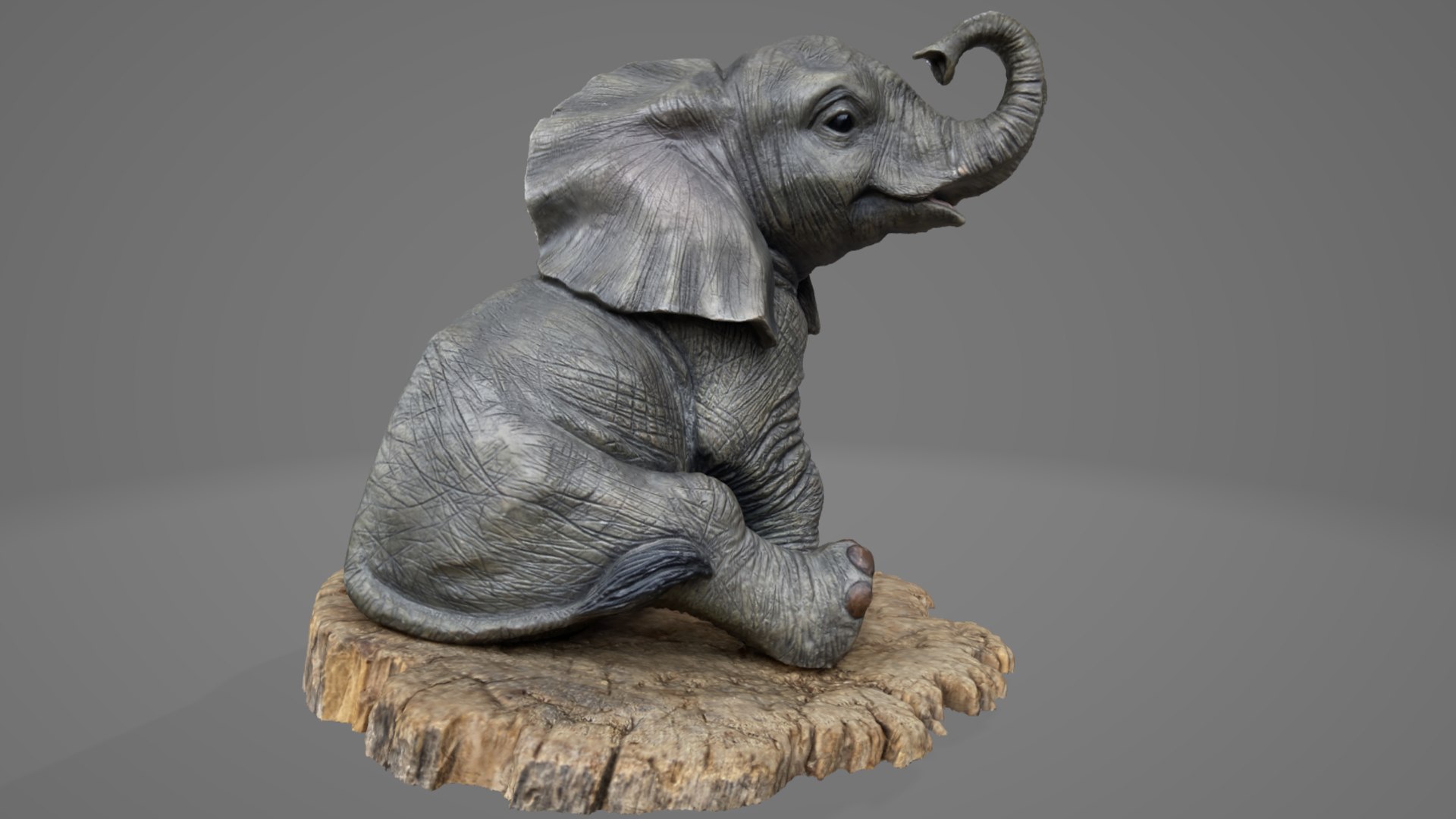 Elephant 3d Scan 3D - TurboSquid 1851657