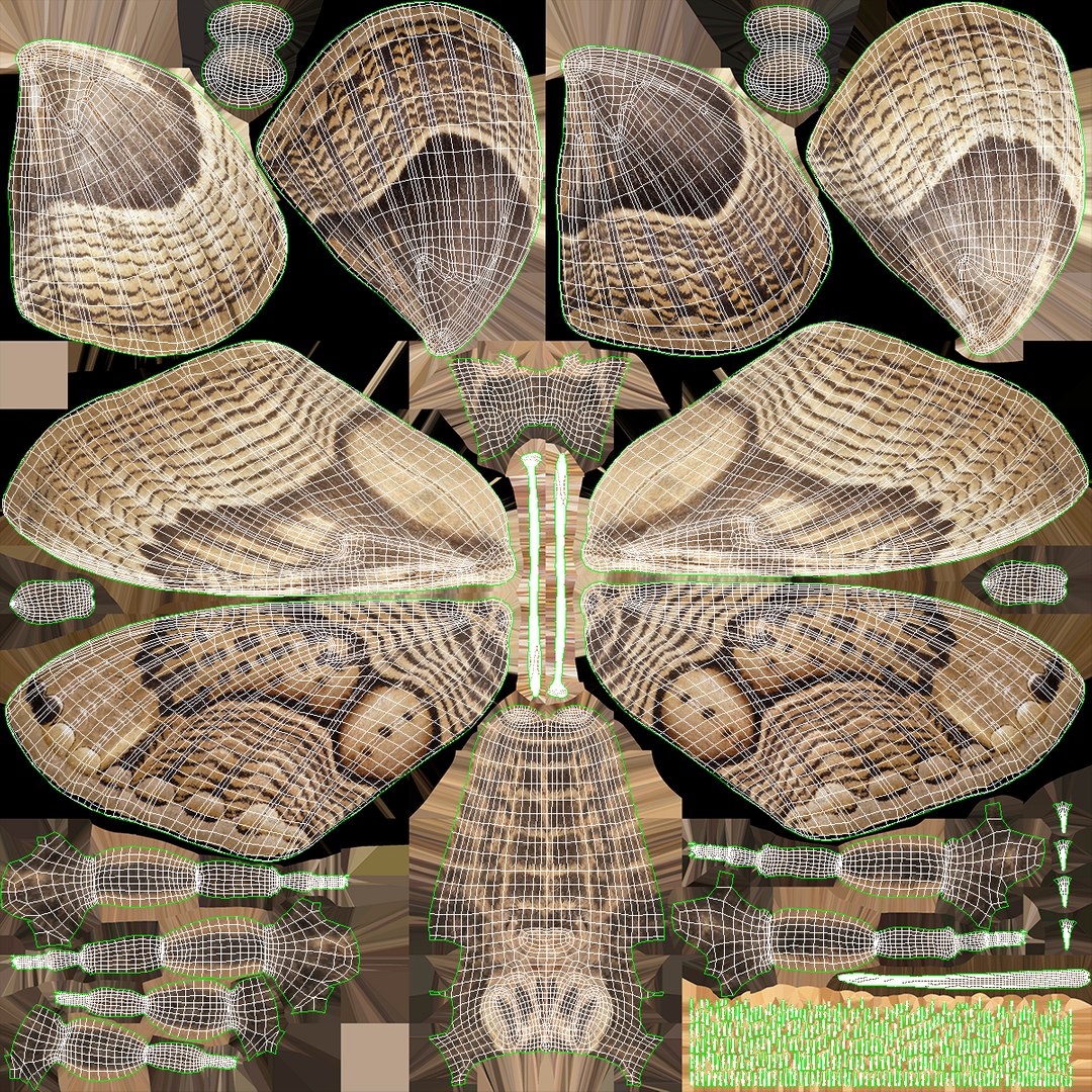 Animated Owl Moth Flight Rigged 3D model - TurboSquid 1775921