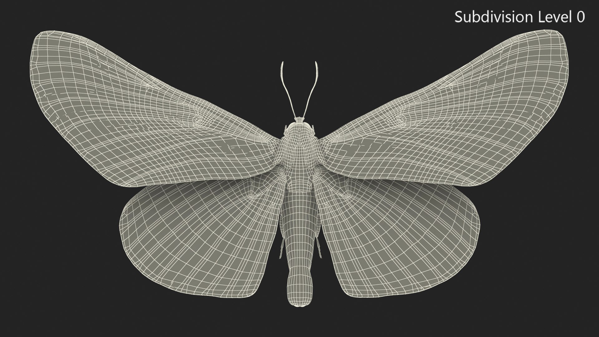 Animated Owl Moth Flight Rigged 3D model - TurboSquid 1775921