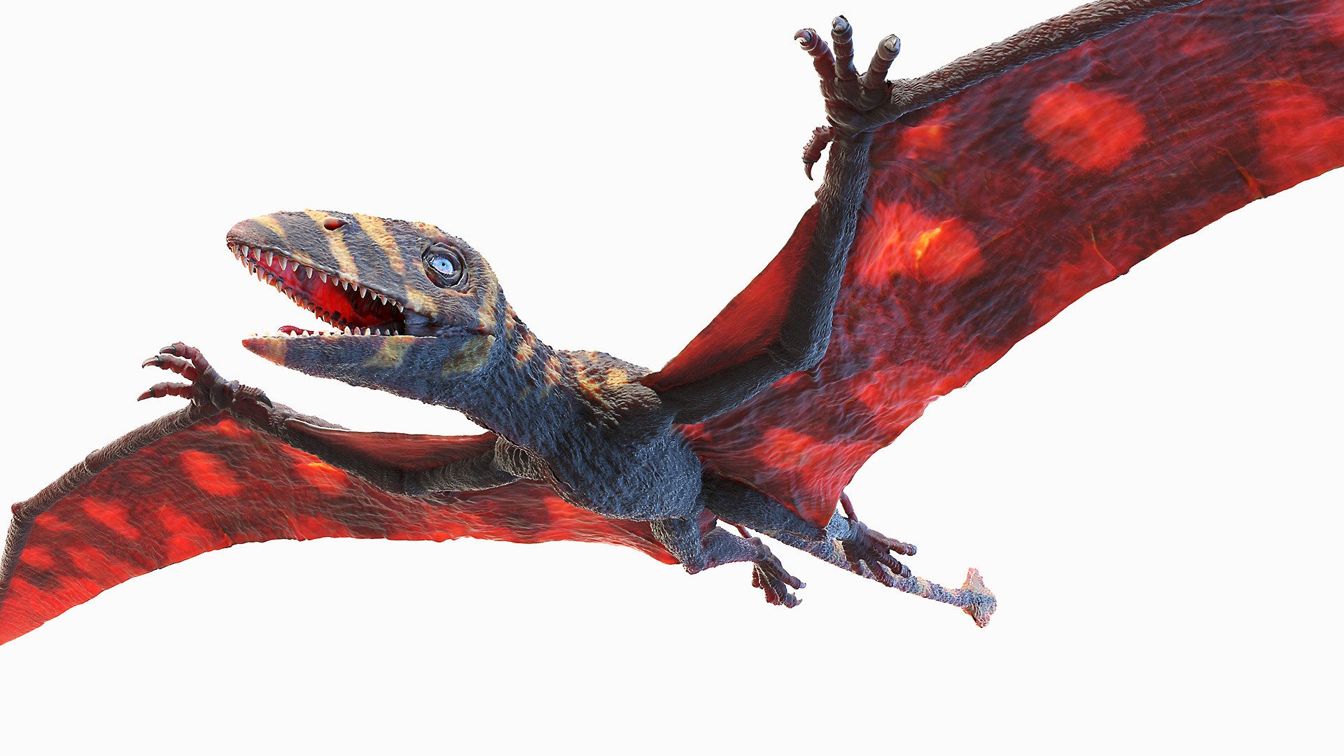 Peteinosaurus Static model - TurboSquid 1901253