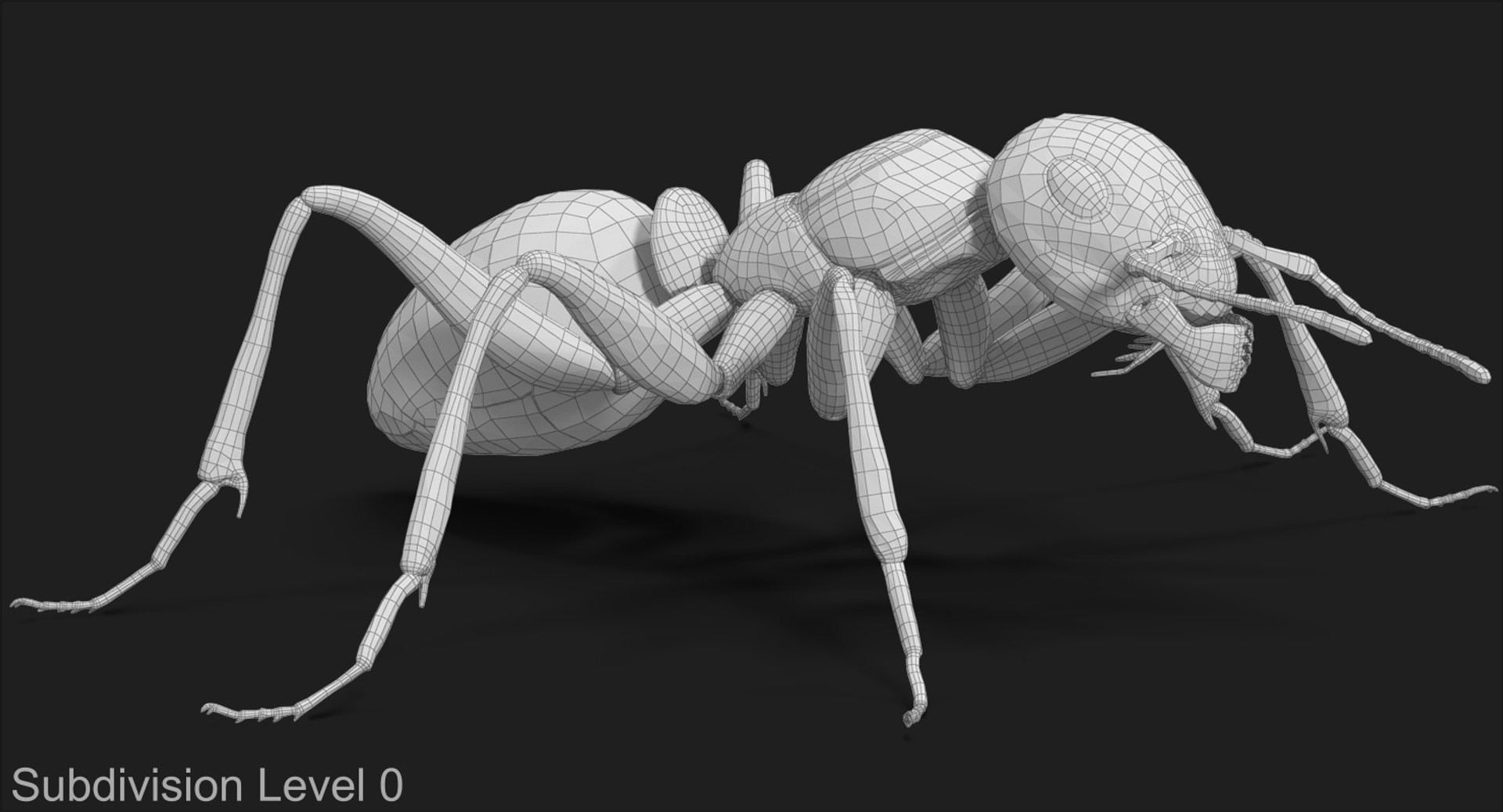 ant pose 1 3d model