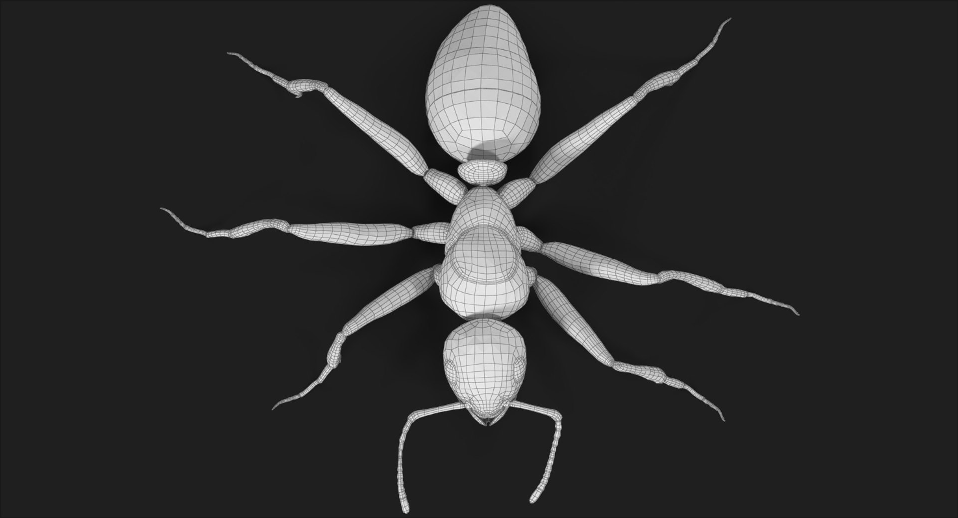ant pose 1 3d model