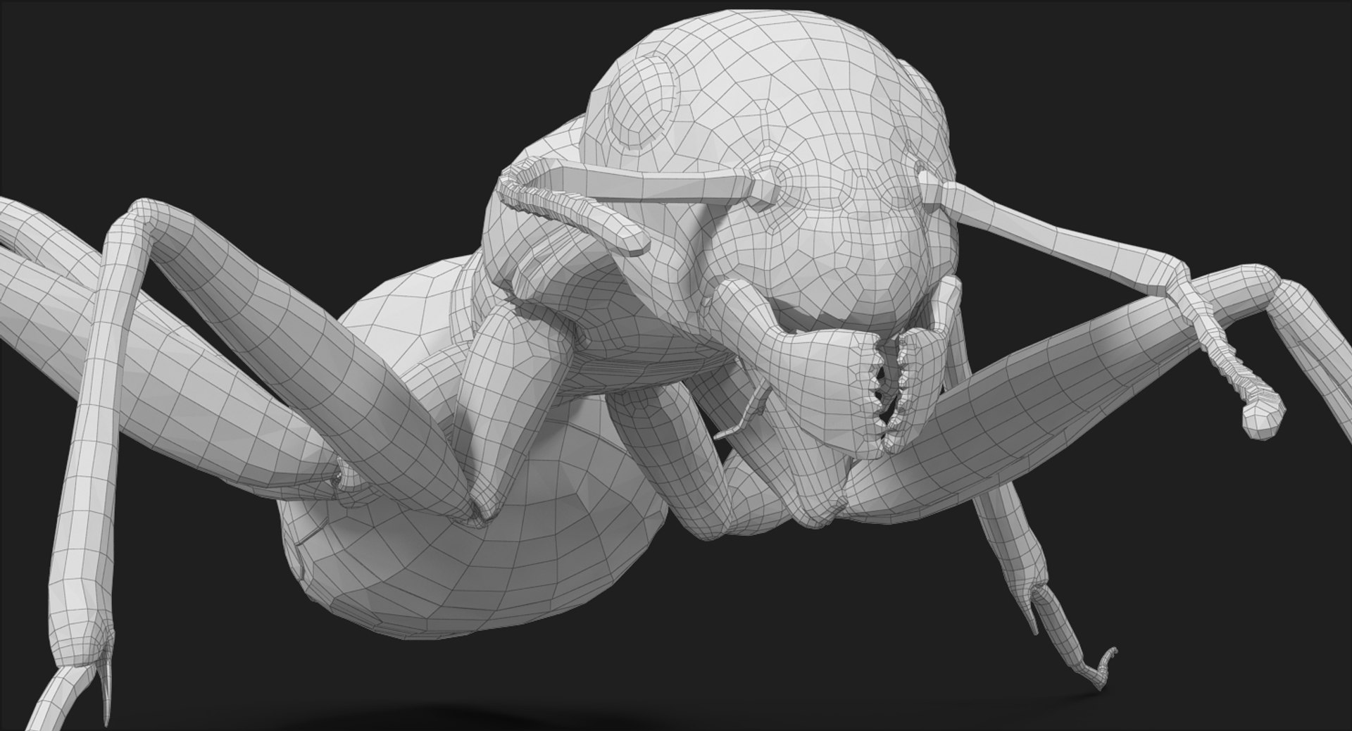 ant pose 1 3d model