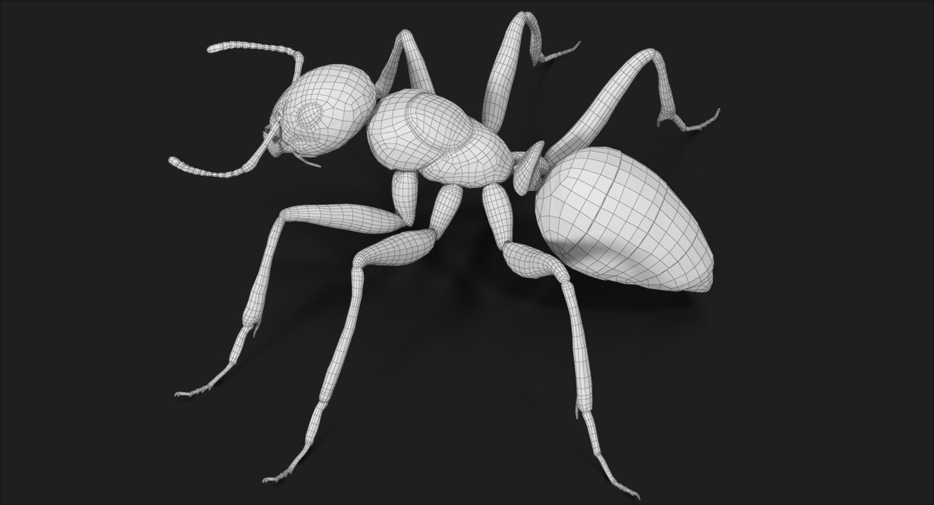 ant pose 1 3d model