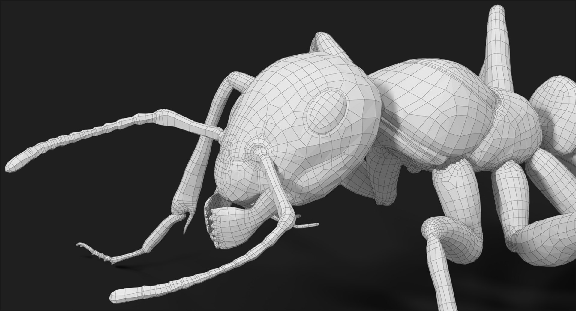 ant pose 1 3d model