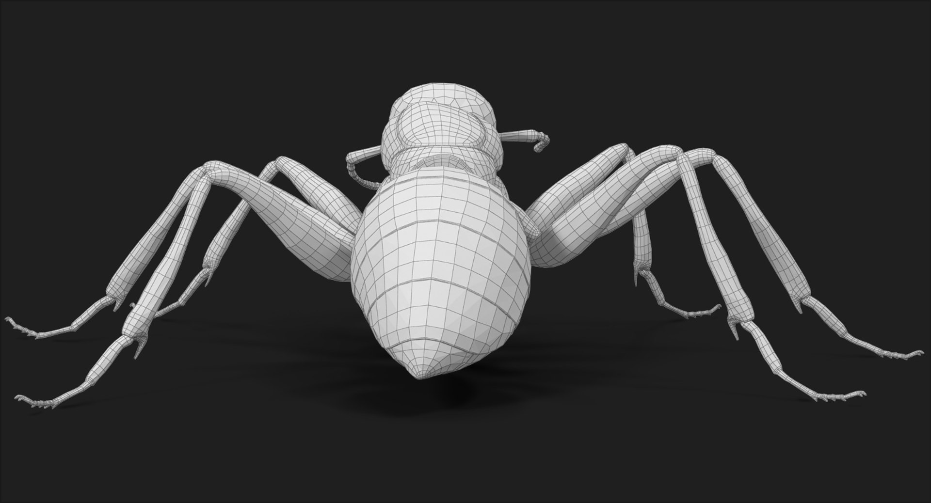 ant pose 1 3d model