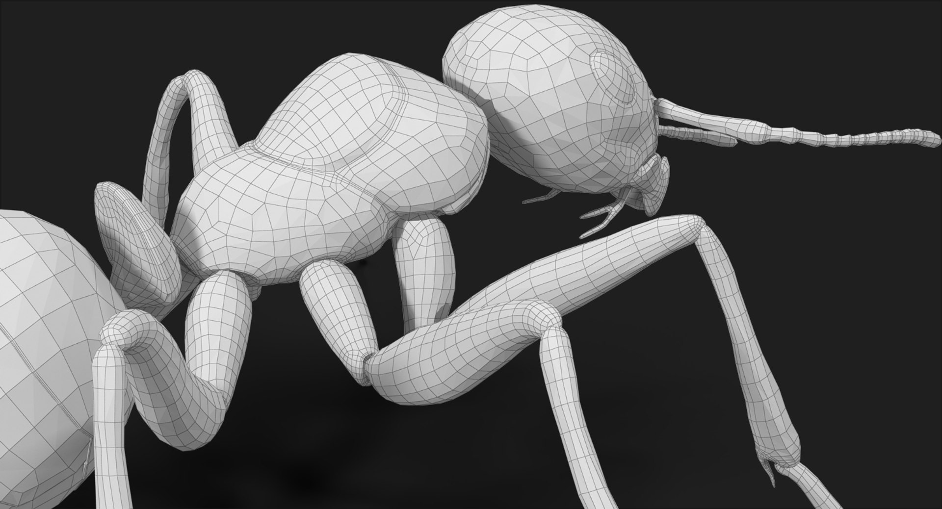 ant pose 1 3d model