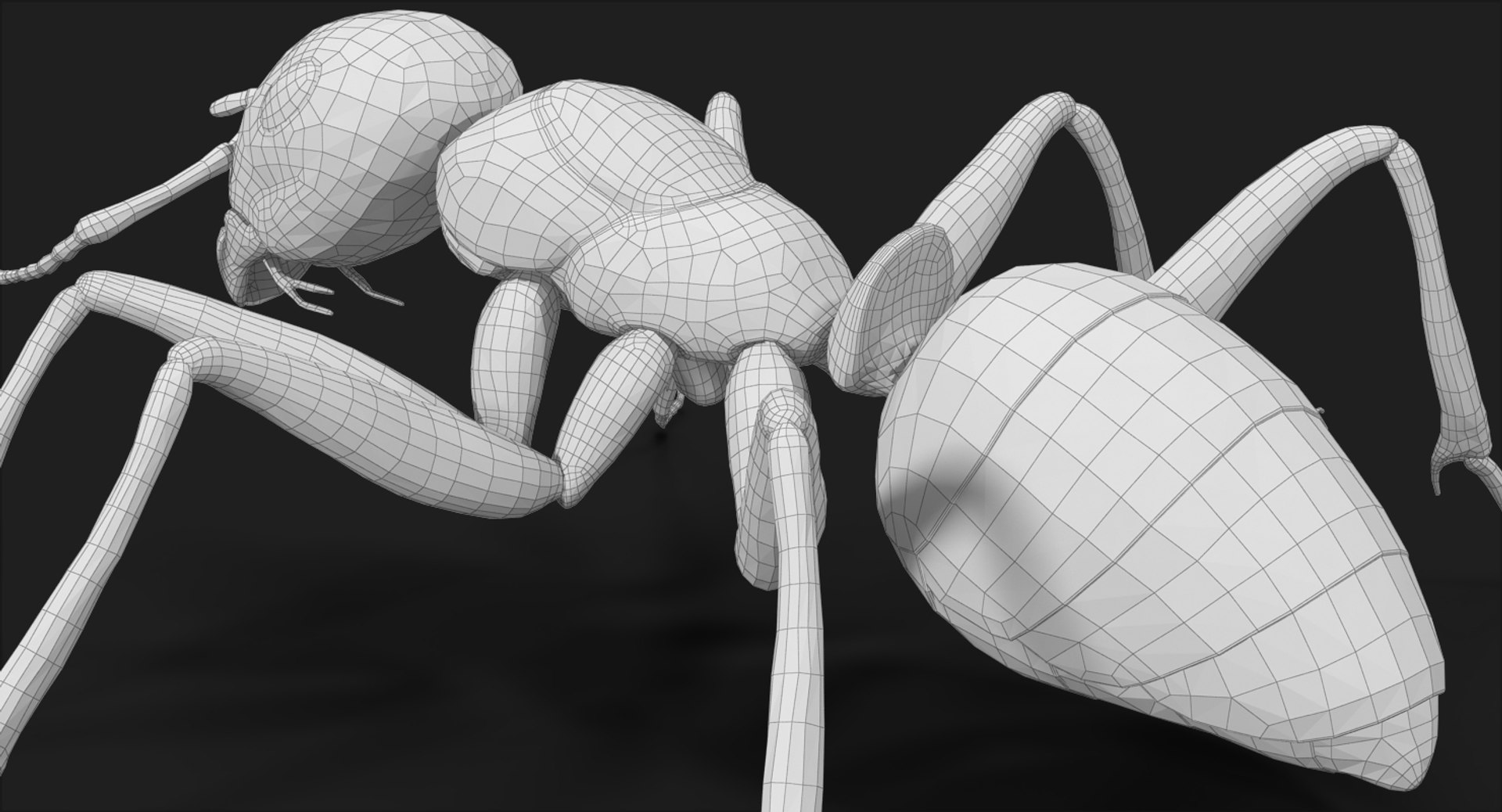 ant pose 1 3d model
