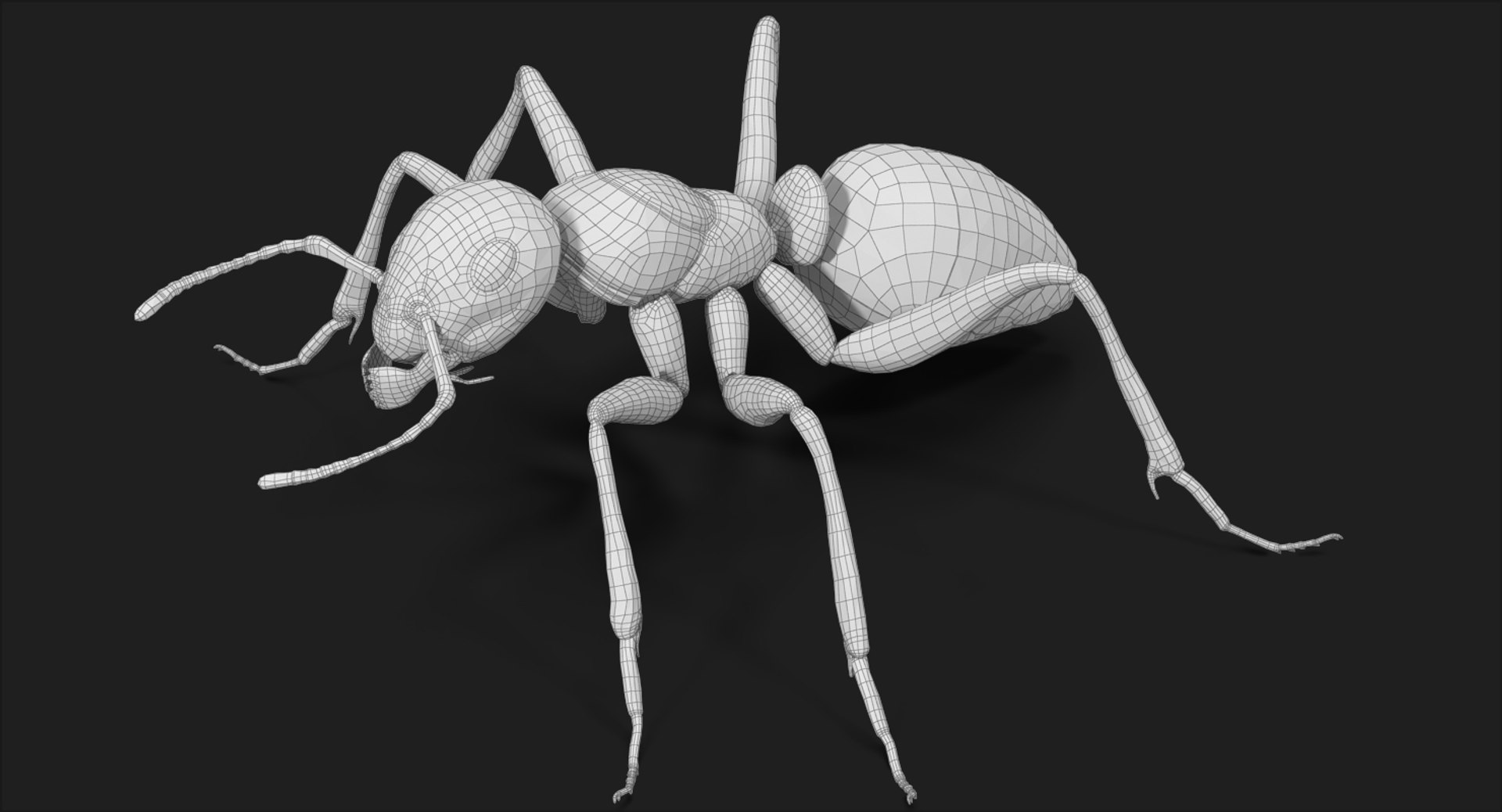 ant pose 1 3d model