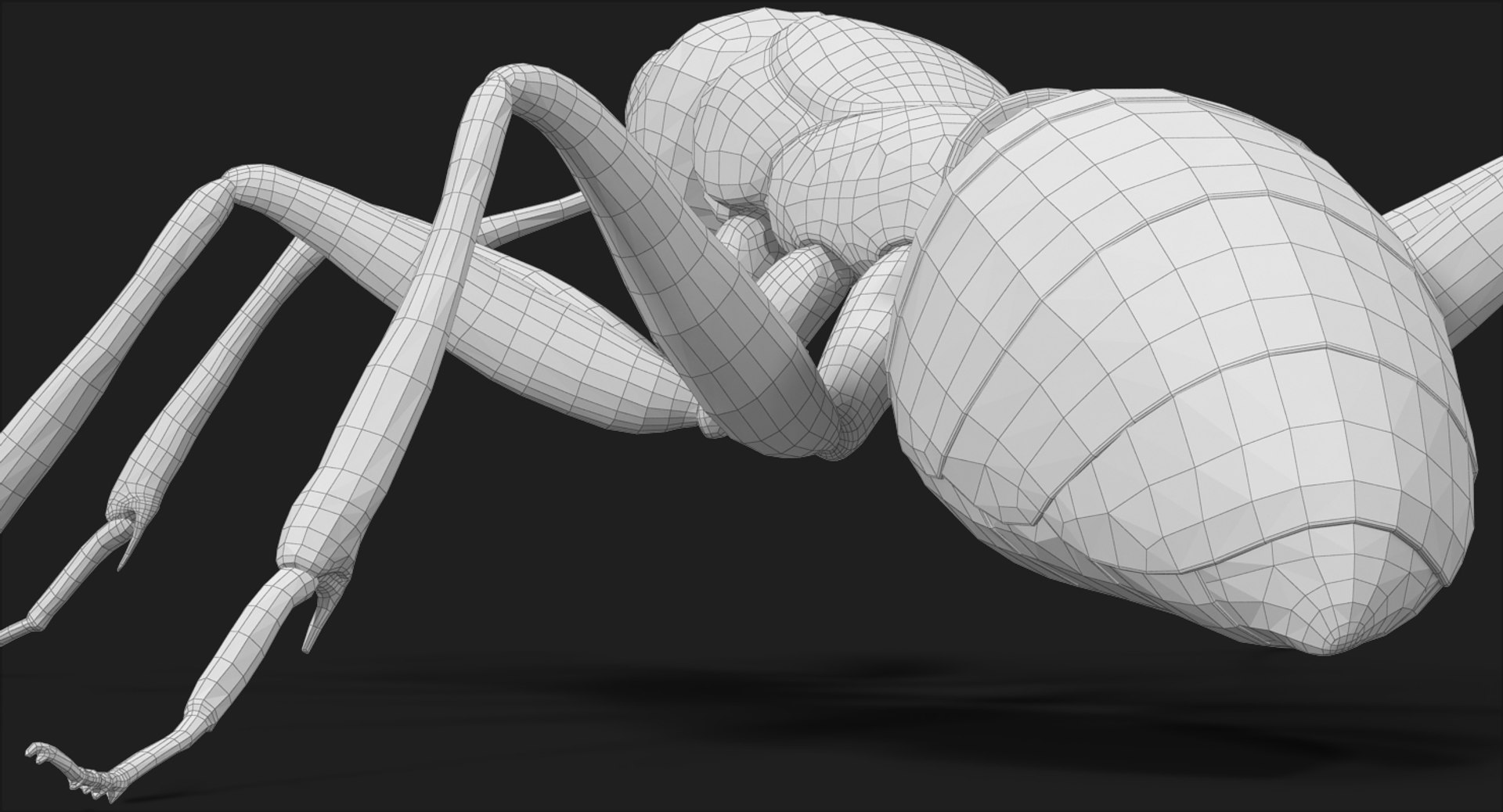 ant pose 1 3d model