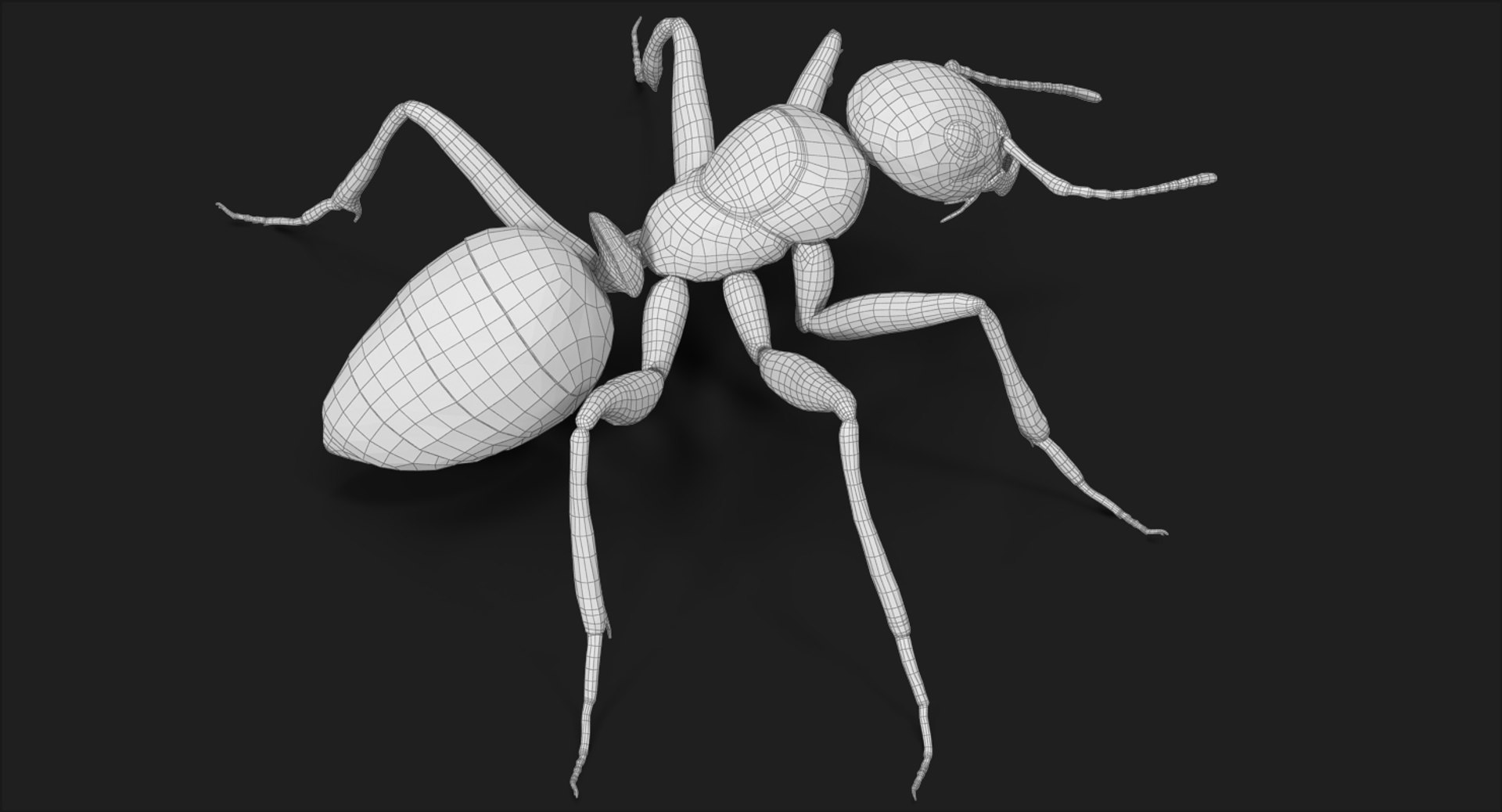 ant pose 1 3d model