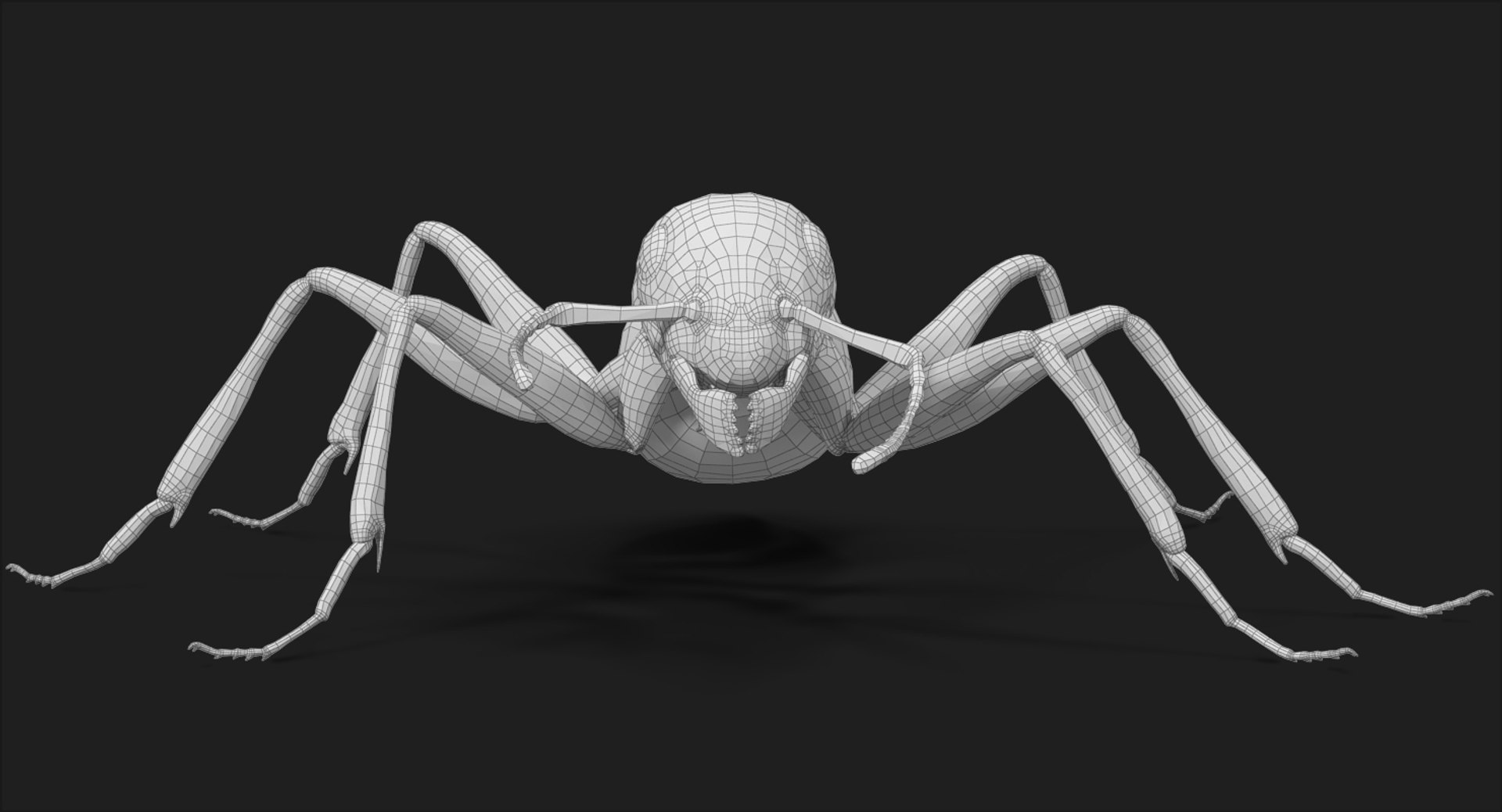 ant pose 1 3d model