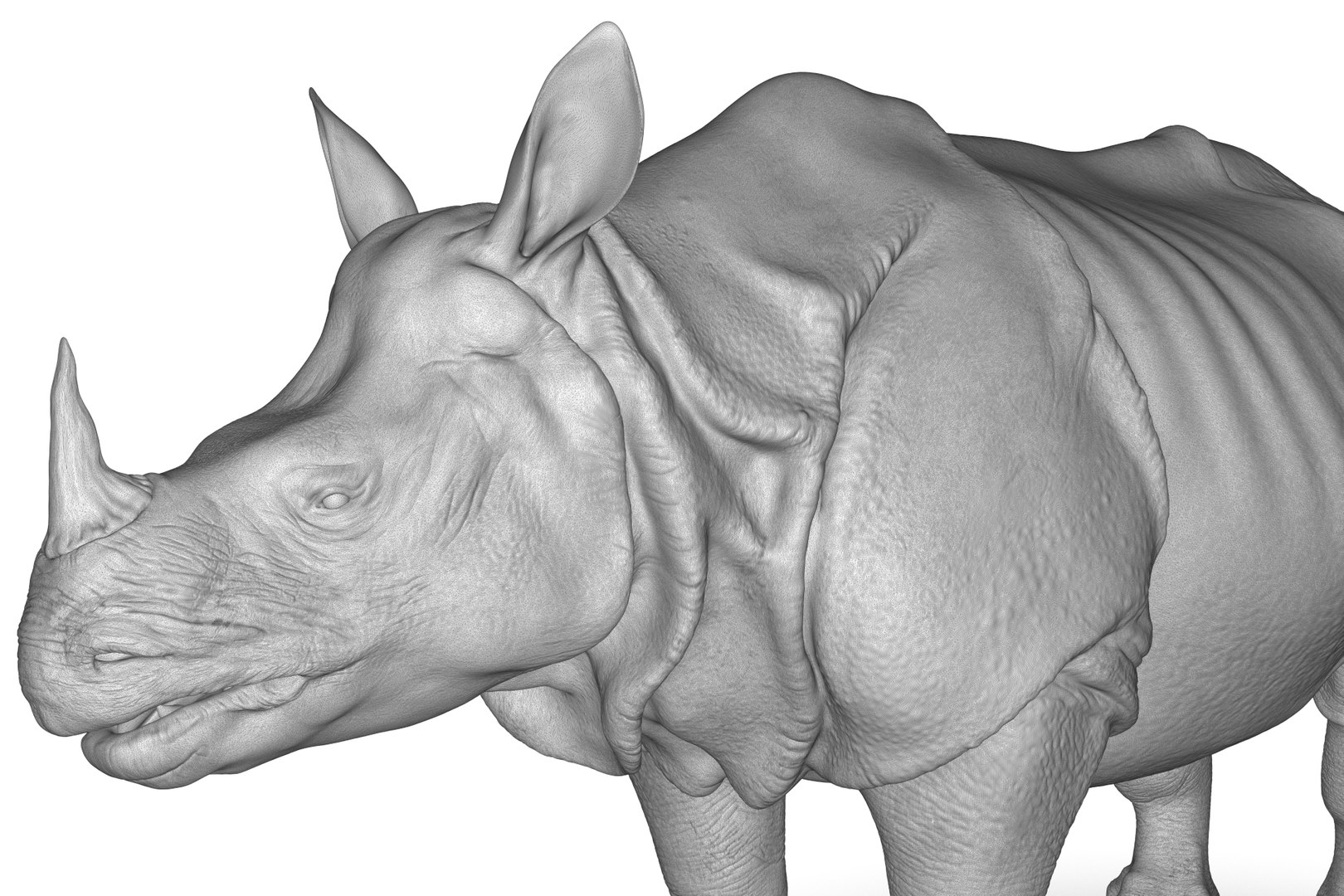 3D Rhinoceros - TurboSquid 2208423
