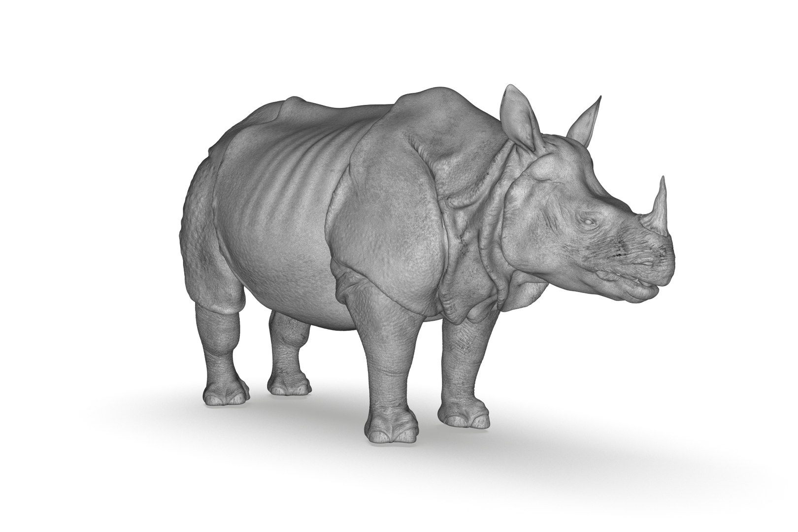 3D Rhinoceros - TurboSquid 2208423