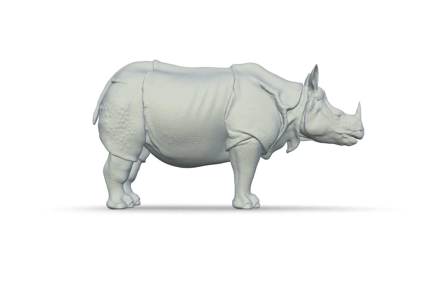 3D Rhinoceros - TurboSquid 2208423