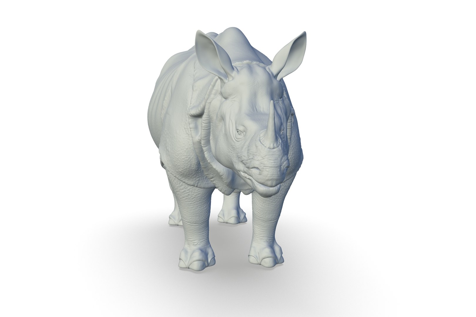 3D Rhinoceros - TurboSquid 2208423
