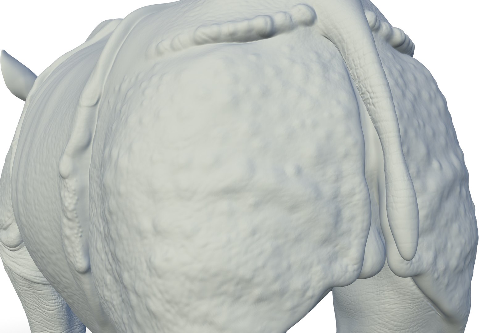 3D Rhinoceros - TurboSquid 2208423