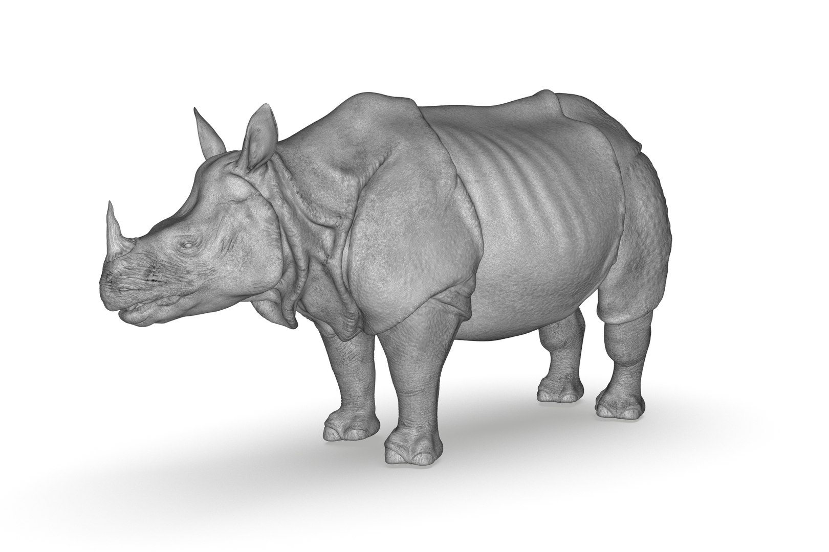 3D Rhinoceros - TurboSquid 2208423