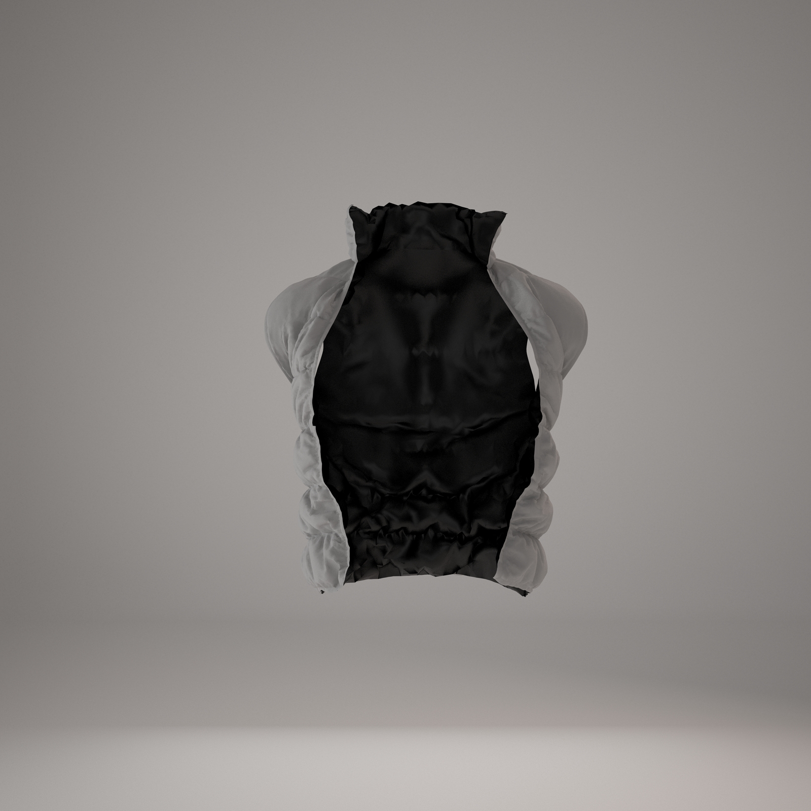 3d vest