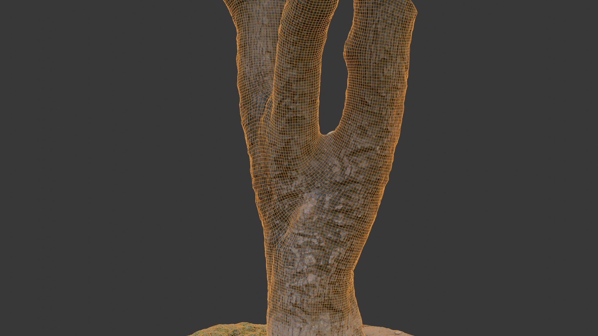Tree Trunk Scan 3D Model - TurboSquid 2395503