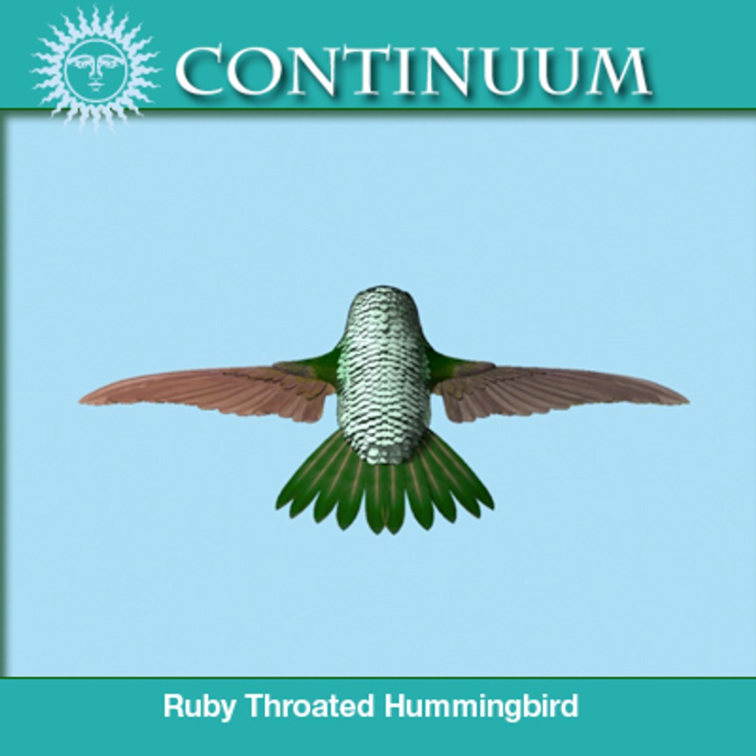3d ruby throated hummingbird rig lightwave