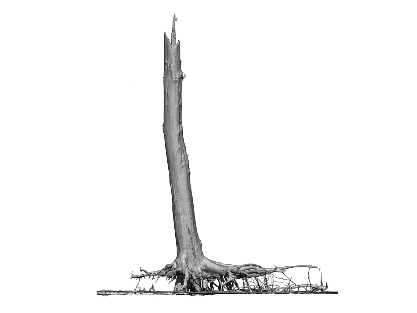 Desert Tree Standing 06 Model - TurboSquid 1384828