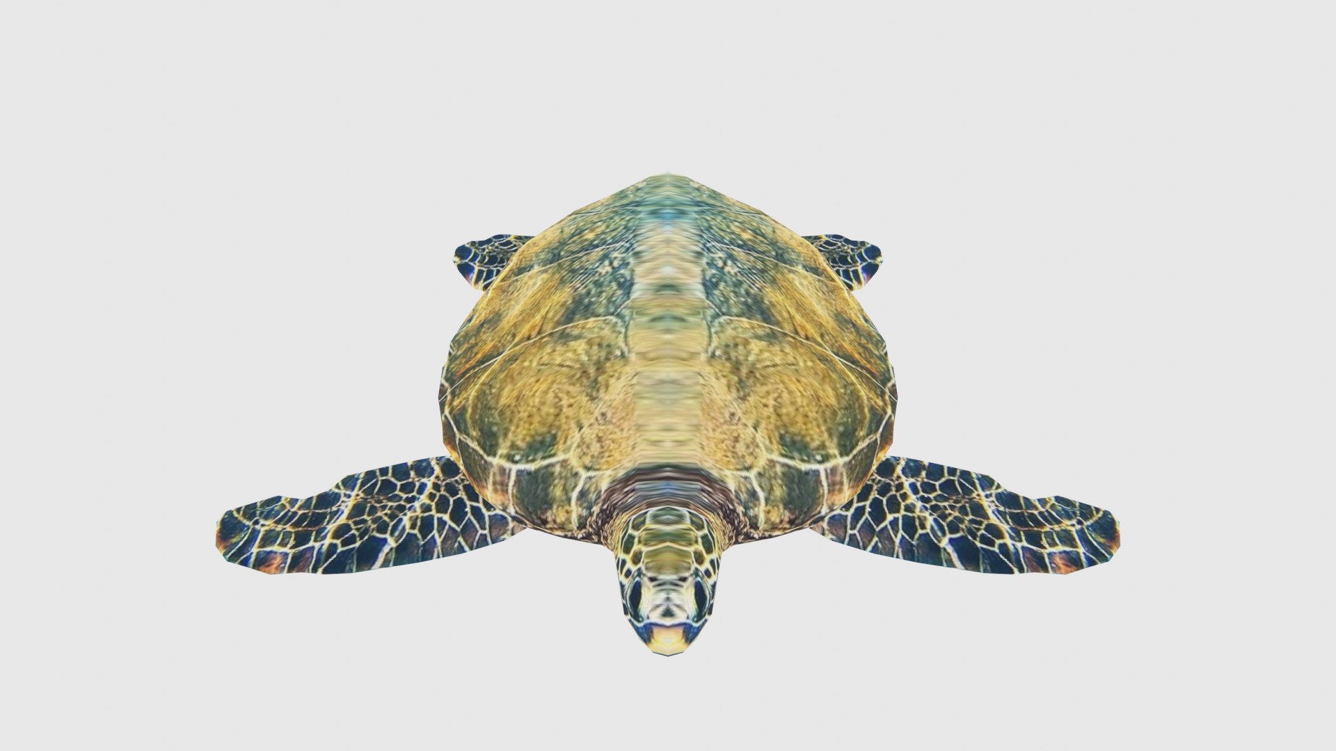 Low Poly Turtle Rigged With Realistic Texture 3D Model - TurboSquid 1876200