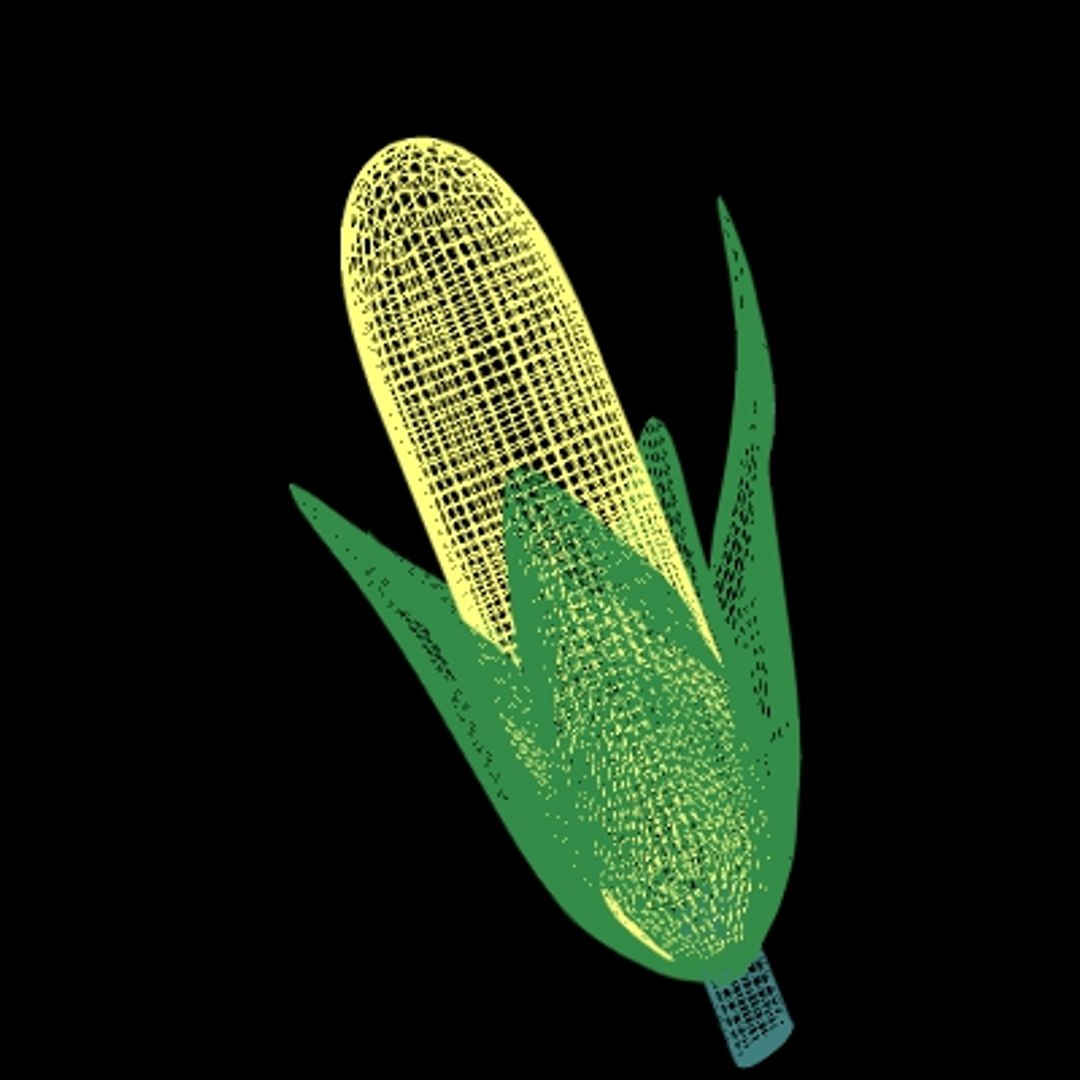 Corn Cob 3d Model