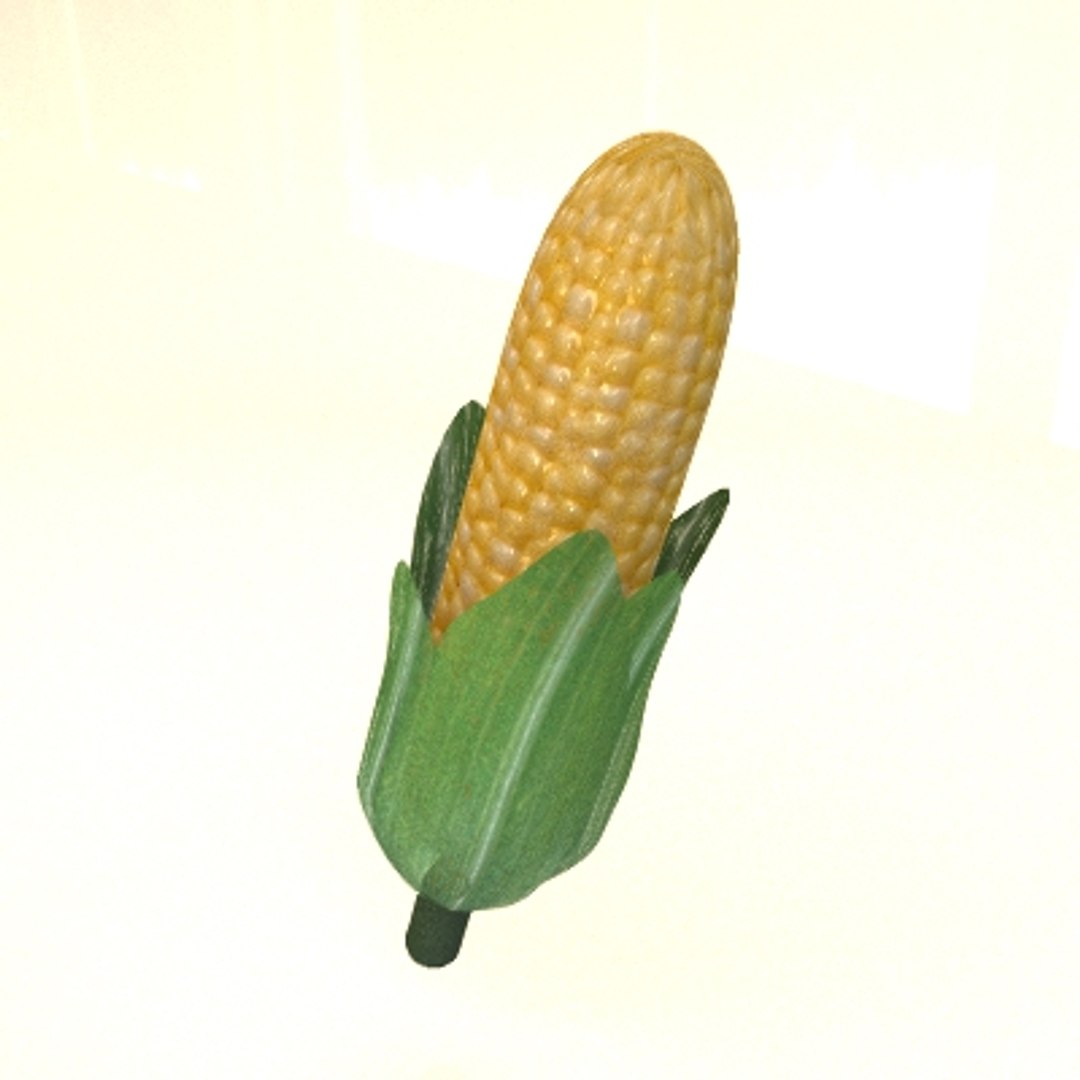 Corn Cob 3d Model