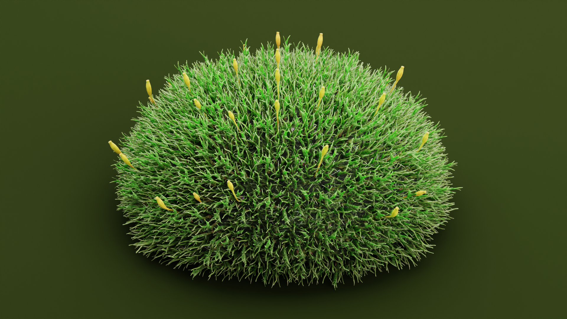 Moss 02 3D - TurboSquid 2260657