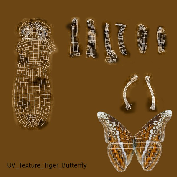 butterfly tiger 3d model