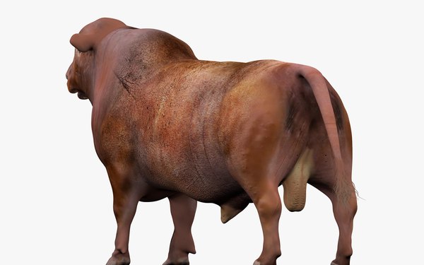 modelo 3d ANGUS ROJO Aparejado L2085 - TurboSquid 2154900