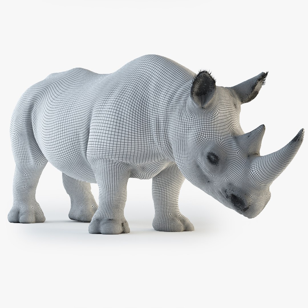 Max Rhinoceros Rhino