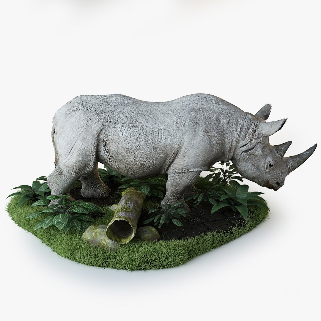Max Rhinoceros Rhino